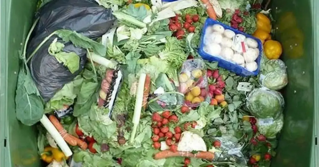 13 maneras de reducir el desperdicio de alimentos – ideas caseras parel ...